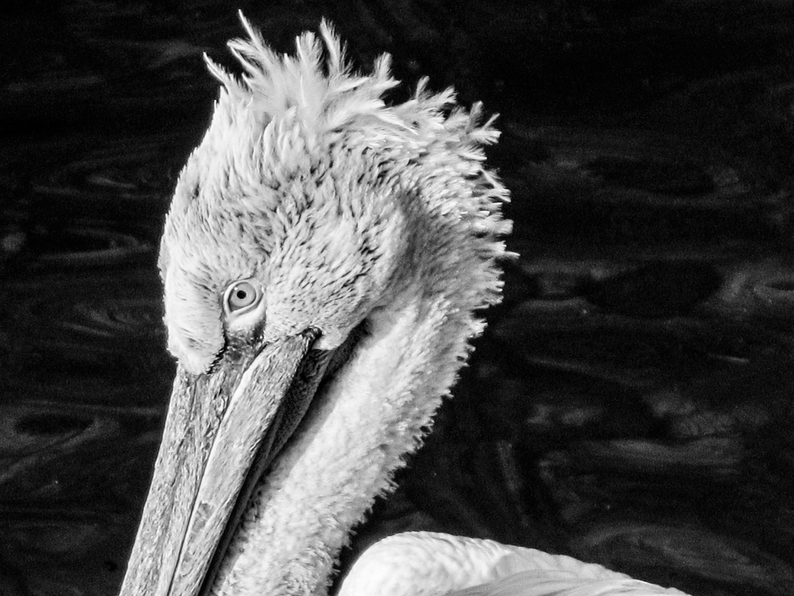 Home - Susanne Merbold