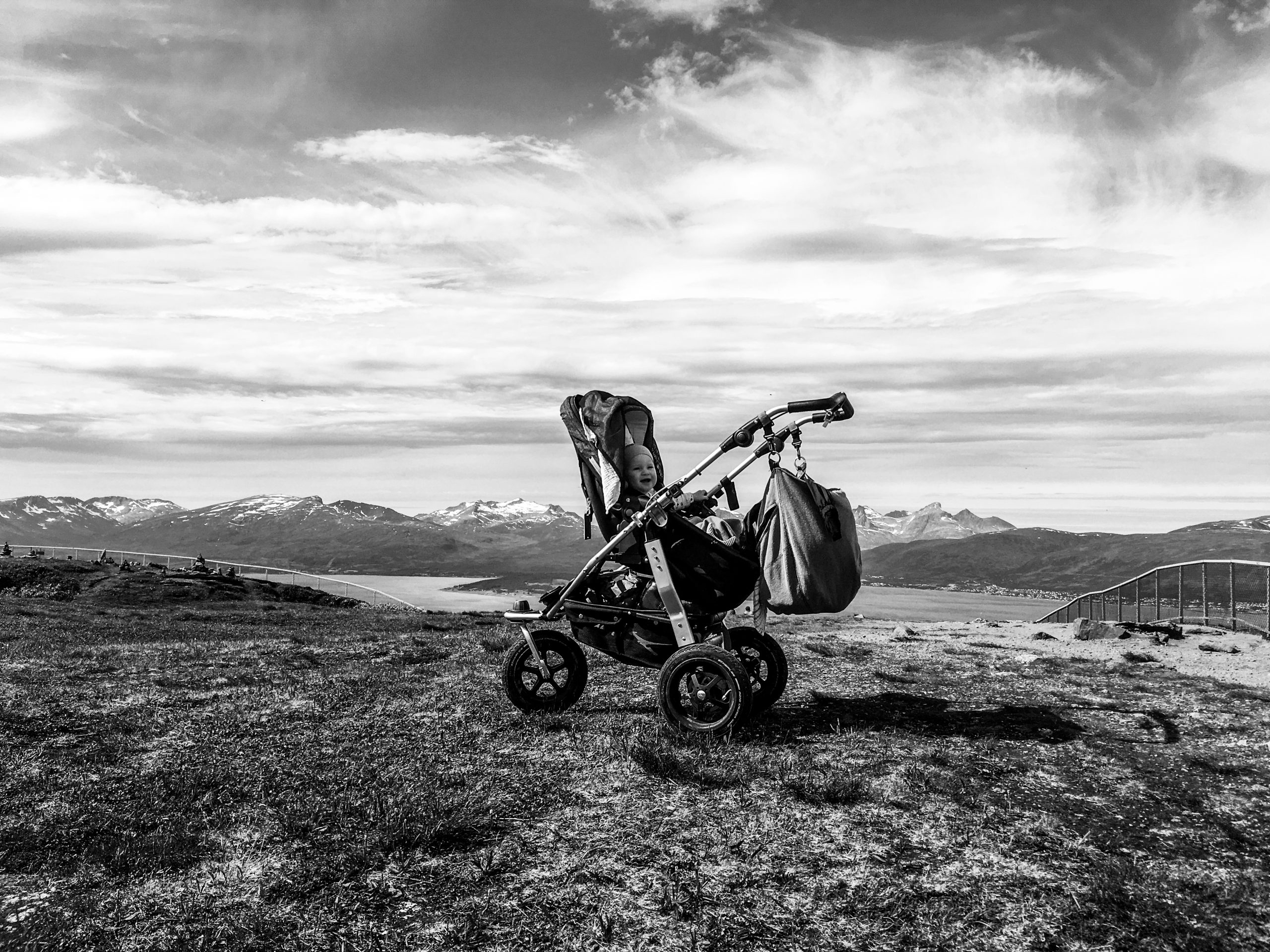 Home - Susanne Merbold